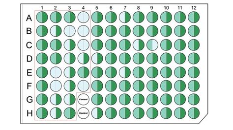 Hifi Se Barcode Assembly Pipeline The Colored Bars From Left To Right