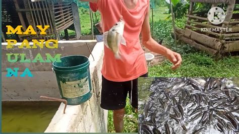 Concrete Pond Bingwit Muna Tayo Ng Pang Ulam Youtube