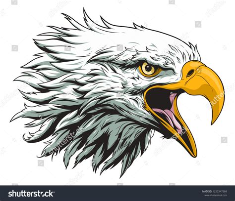 Bald Eagle Head Vector Illustration Stock Vector Royalty Free 1222347568 Shutterstock