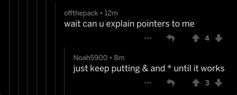 C Programmers Rprogrammerhumor