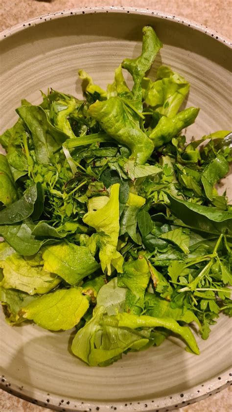 Arduino Based Dwc Update 2 Rhydroponics