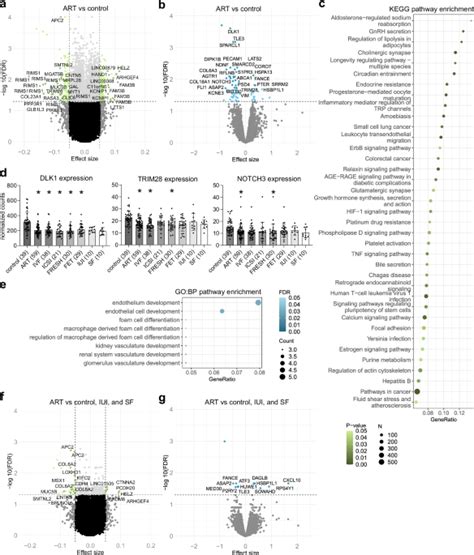Genome Wide Dna Methylation And Gene Expression In Human Placentas