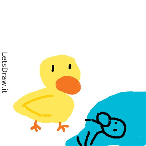 How To Draw Duck Si9wx8swm Png LetsDrawIt