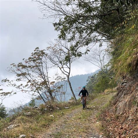 裡冷林道 越野登山車騎記 探索山林 ｜the Way I Ride
