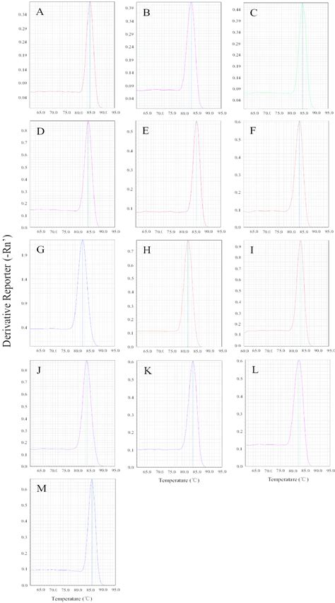Melting Curve Analysis Of Quantitative Real Time Pcr Qrt Pcr