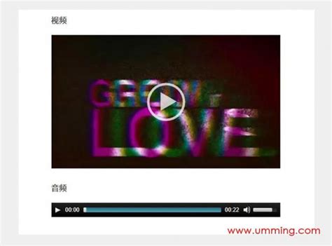 HTML 音频和视频播放器插件 MediaElement js 尤明明Blog