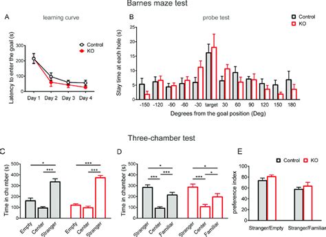 Spatial Learning And Memory And Social Behavior Were Not Affected By