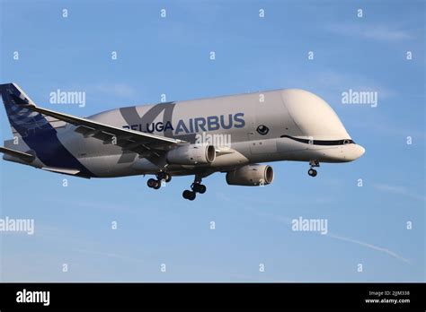 The New Airbus A330 Beluga Xl Landing At Hawarden Airport In North