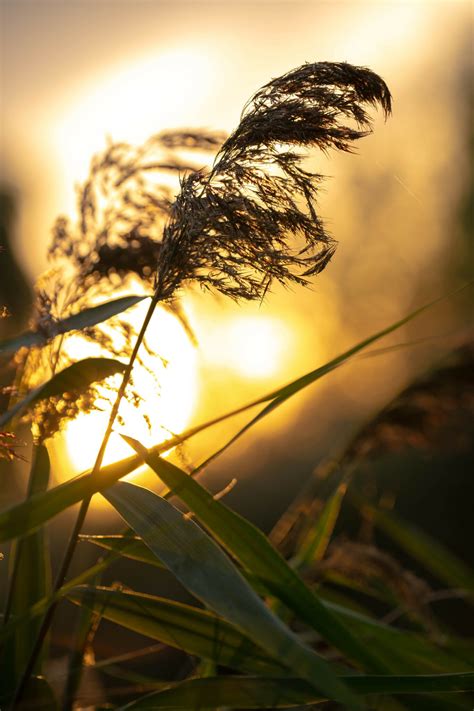 Win 2 Spaces At The Capital Social At East Delph Lakes