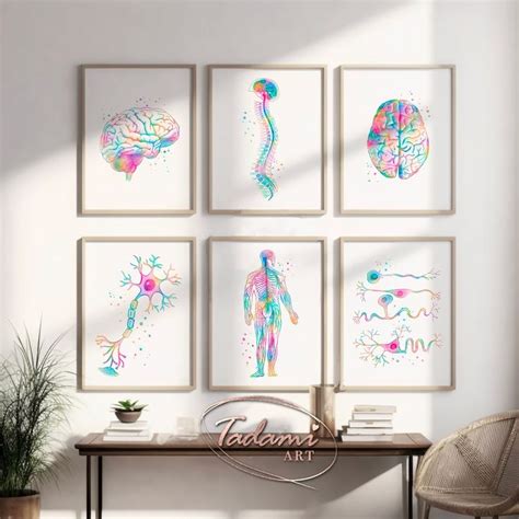 Neurology Wall Art Brain Anatomy Print Nervous System Art Neuron Poster Psychiatrist T