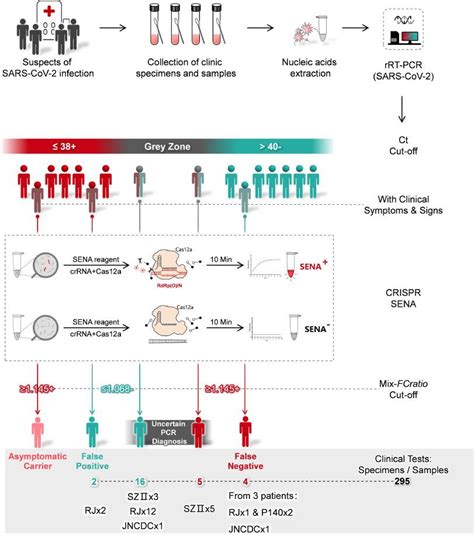 News Crispr Diagnostics Update Cas12a Based Sars Cov 2 Detection