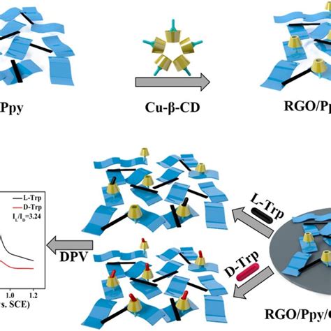 Schematic Diagram Of The Preparation Of Rgo Ppy Cu β Cd Gce Download Scientific Diagram
