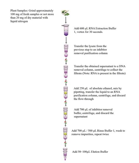 Complex Plant Total Rna Plus Small Amount Extraction Kit Dna