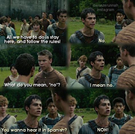 Funny Maze Runner And Newtmas Pictures Maze Runner Imagines Maze Runner Funny Maze Runner