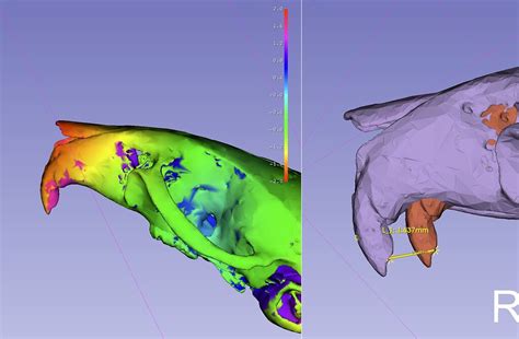 Interpreting Point To Point Distance Output Support 3d Slicer Community