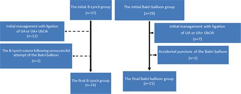 The Patient Selection Algorithm And Excluded Patients Download Scientific Diagram