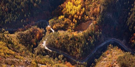 Forest Fragmentation Causes Effects And Conservation Efforts