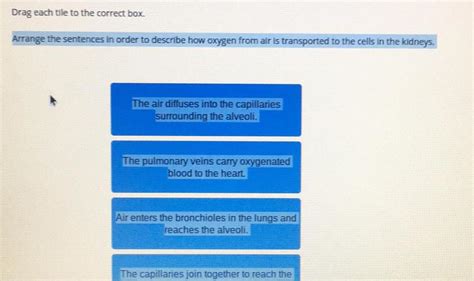 [answered] drag each tile to the correct box arrange the sente biology
