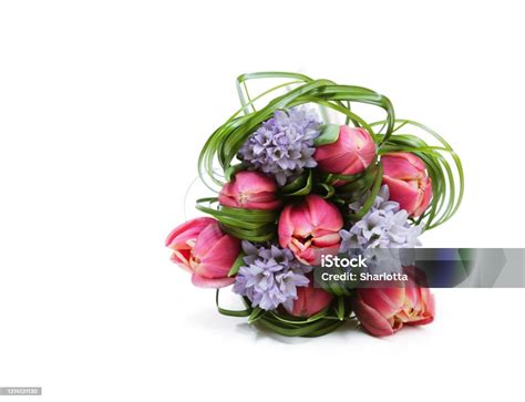 흰색 배경에 고립 된 녹색 잔디와 히아신스와 함께 아름다운 빨간 튤립 0명에 대한 스톡 사진 및 기타 이미지 0명 3월 개체 그룹 Istock