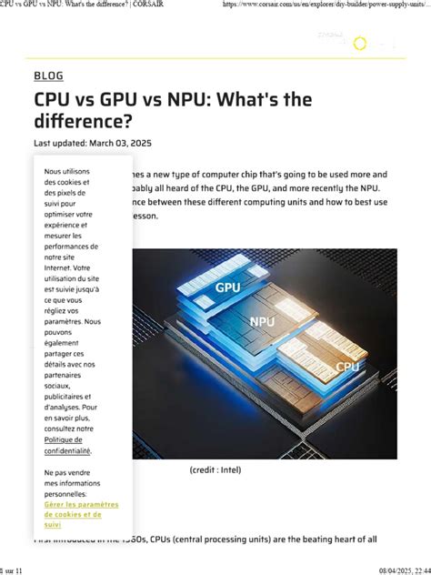 Cpu Vs Gpu Vs Npu Whats The Difference Corsair Pdf Computer Hardware Computer