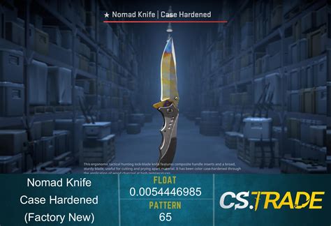 Nomad Knife Case Hardened ⭐️ Cs2 Skin
