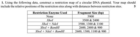 1 Using The Following Data Construct A Restriction Map Of A Circular Dna Plasmid Your Map
