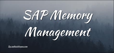 Sap Memory Management Sap Basis For You