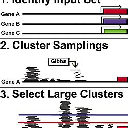 Schematic Diagrams Of The Positional Clustering Process