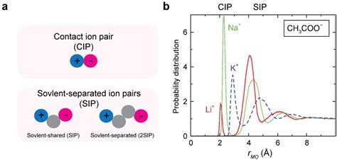Macromolecules Chart Ap Biology