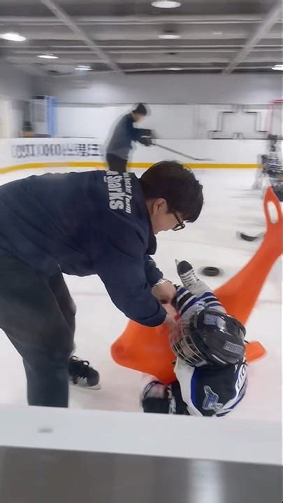 아이스하키 Exciting한 돌고래 놀이의 최후 Youtube