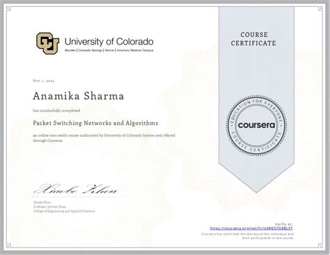 Networking Packetswitching Algorithms Networkengineering Coursera