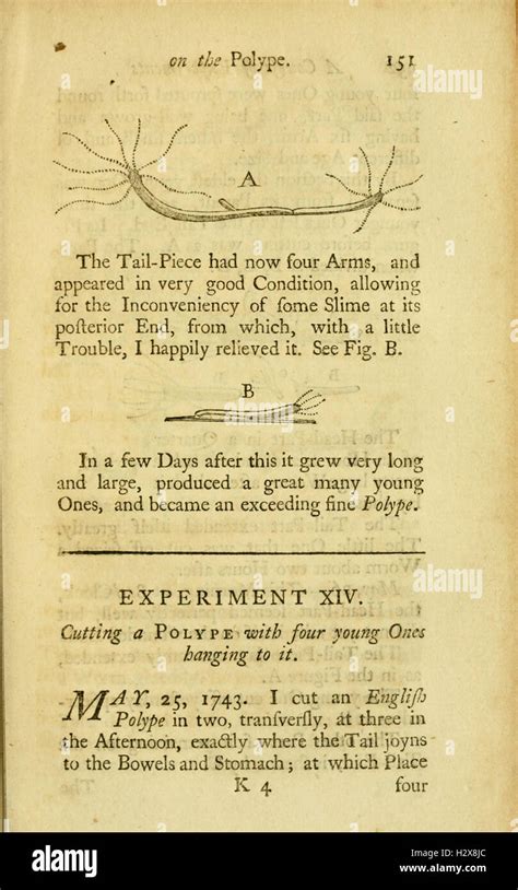 This Work Presents A Natural History Of The Polype Describing Its