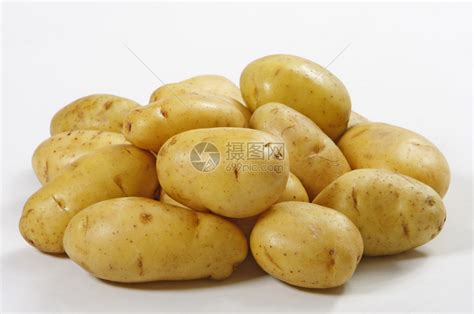 马铃薯高清图片下载 正版图片502980580 摄图网