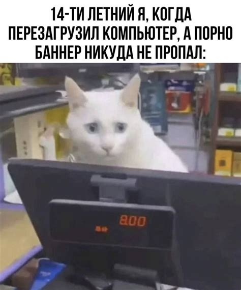 Joyreactor смешные картинки и другие приколы комиксы гиф анимация видео лучший