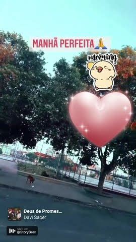 Alegria vem de manhã YouTube