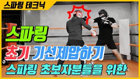 복싱 스파링 팁과 기술 스파링 초보자를 위한 스파링 초기 기선제압하기 Youtube