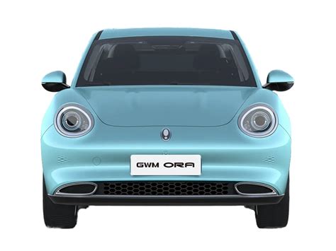 Gwm Ora 03 300 Pro Datenblatt Alle Technischen Daten