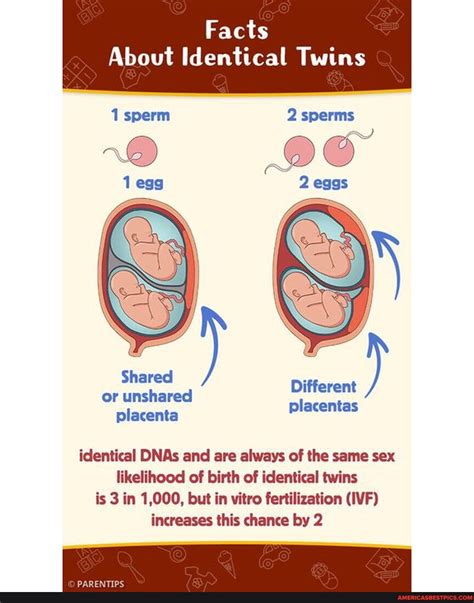 Facts About Identical Twins Brightside Learnwithinstagram Identicaltwins Didyouknow Factsdaily