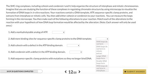 Solved The Smc Ring Complexes Including Cohesin And