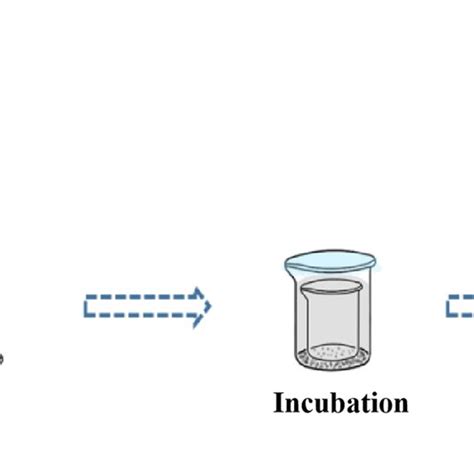 Schematic Diagram Of The Synthesis Process Of Samples Download Scientific Diagram