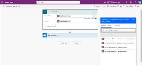 Environment Variables In Solution