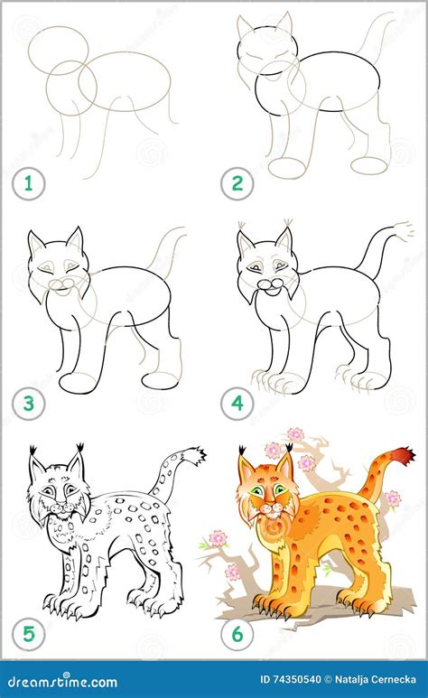 Unbelievable Info About How To Draw A Lynx Settingtooth