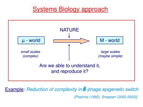 Ppt Stochastic Dynamics Modeling In Complex Biological Networks