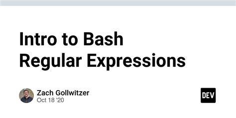 Intro To Bash Regular Expressions Dev Community