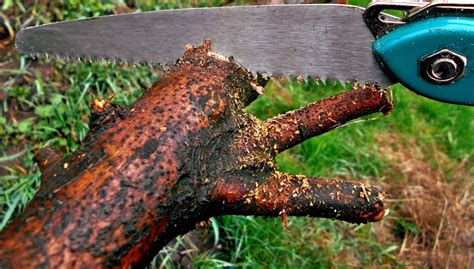 Sorting An Angular Material Table How To Use Matsort And