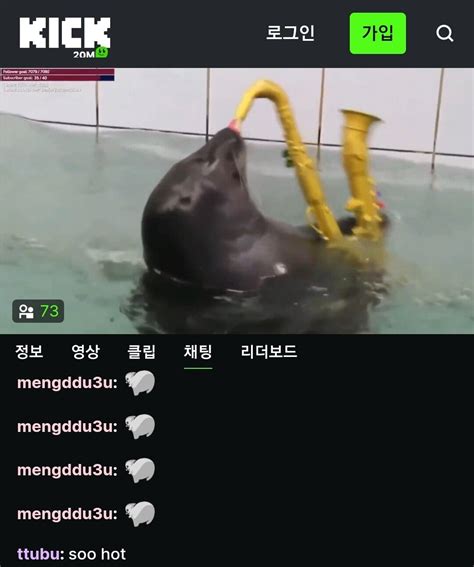 완전히 젖은 올 누드 ㅅㅅ폰 방송 DogDrip Net 개드립