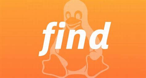 Linux常用命令find记录 赵容部落
