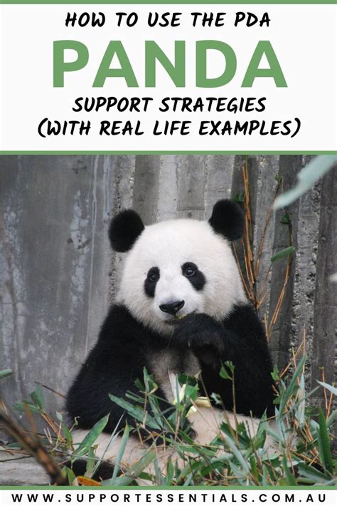 How To Use The Pda Panda Support Strategies Support Essentials Pathological Demand Avoidance