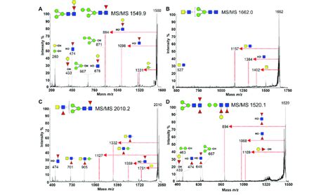 Maldi Tof Ms Ms Spectra Of The Permethylated N Glycans Released By Download Scientific Diagram