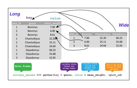 Data Analysis And Visualisation In R For Ecologists Manipulating